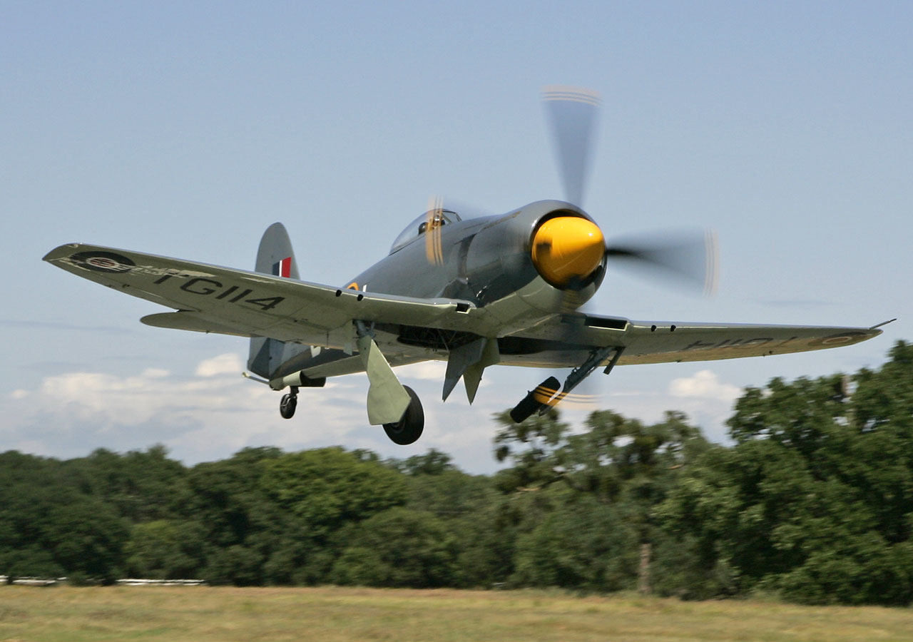 Sanders and the Argonaut