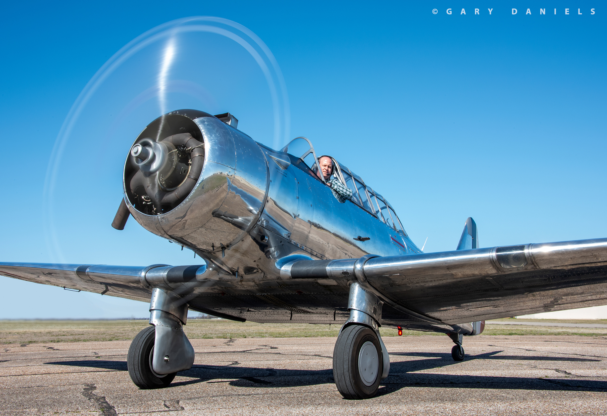 Lady Luck Smiled on This Smart Yale