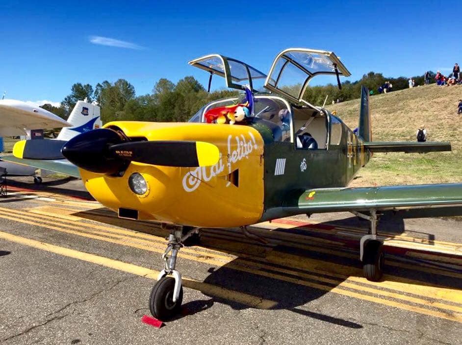 Randy's Warbird Profiles: Industria Aeronautică Română IAR-823 ...