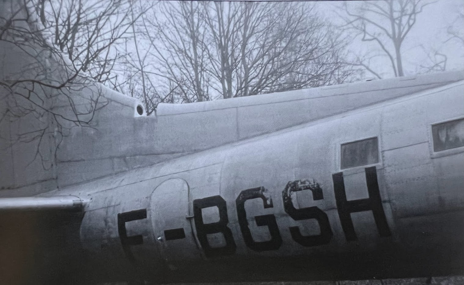 Shoo Shoo Baby: The Remarkable Odyssey of Survival for a Combat Veteran B-17