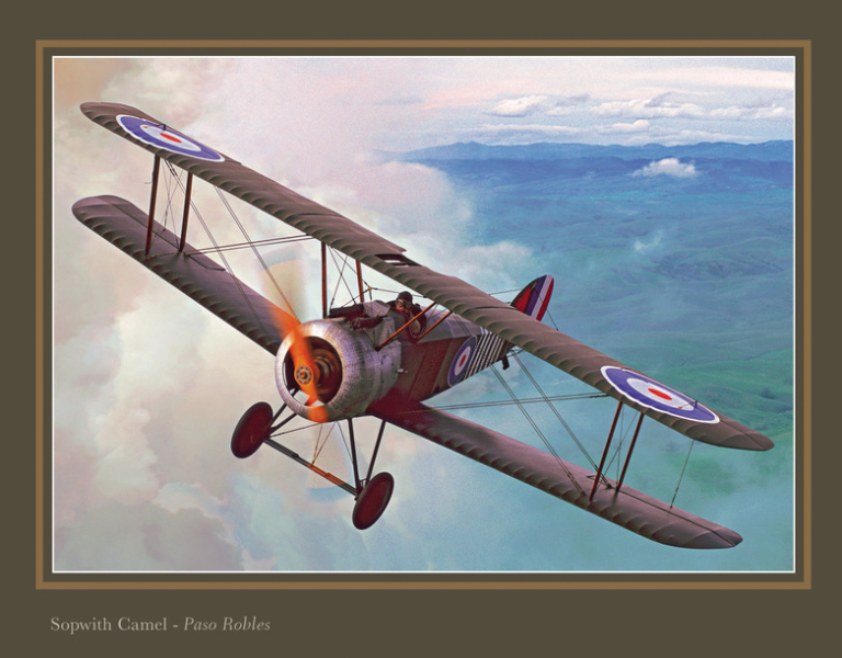The Nature of WWI Aircraft - Javier Arango & Philip Makanna - Vintage ...