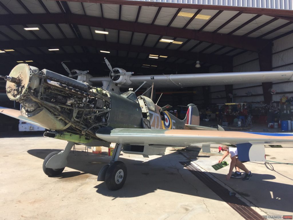 Connie Edwards Buchons and the Battle of Britain Remake