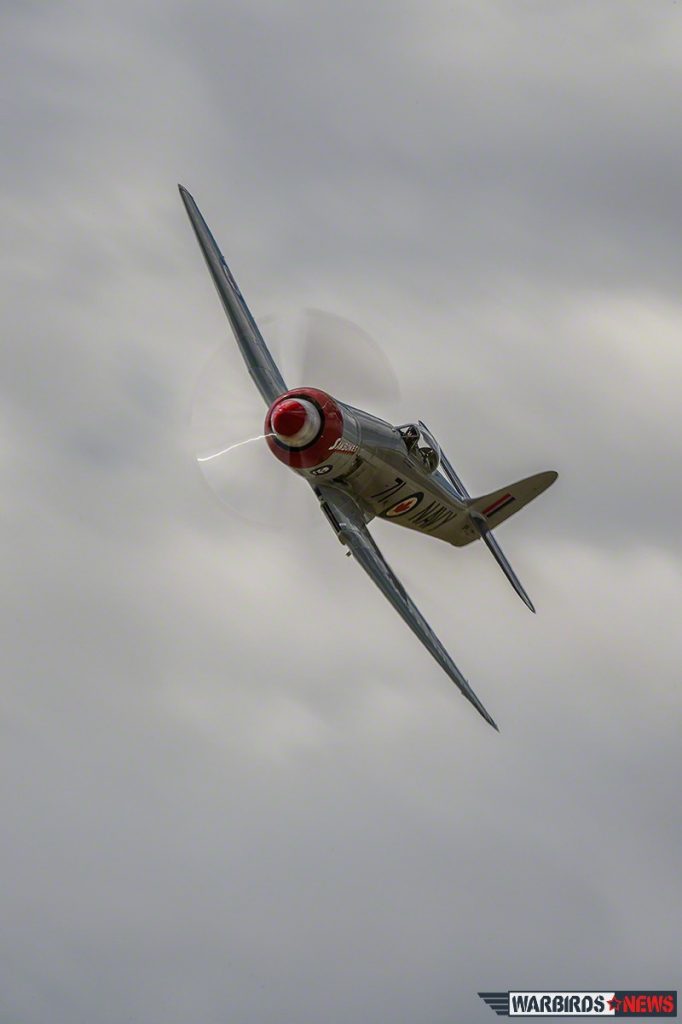 Sea Fury Sawbones Sold to Australia: Reno racer
