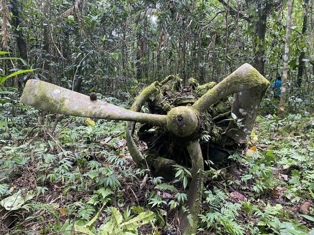 Echoes of War in the Jungle: Two WWII Corsairs Unearthed on Espiritu ...