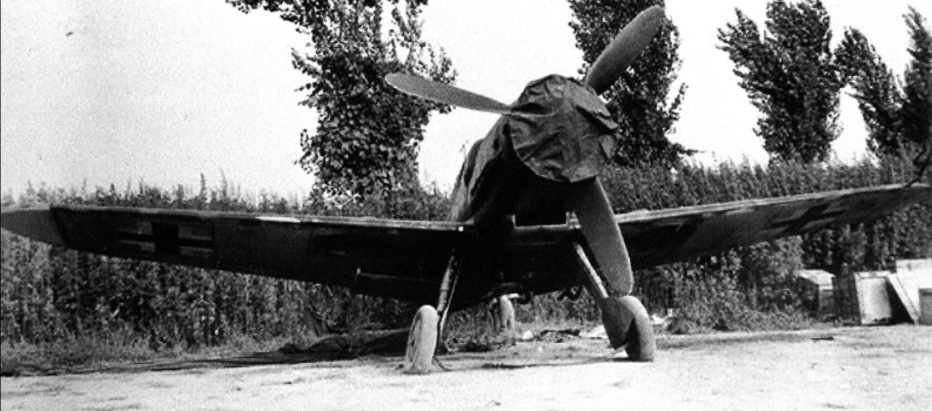 Smithsonian’s Bf 109 Unveils a Hidden Story of Resistance