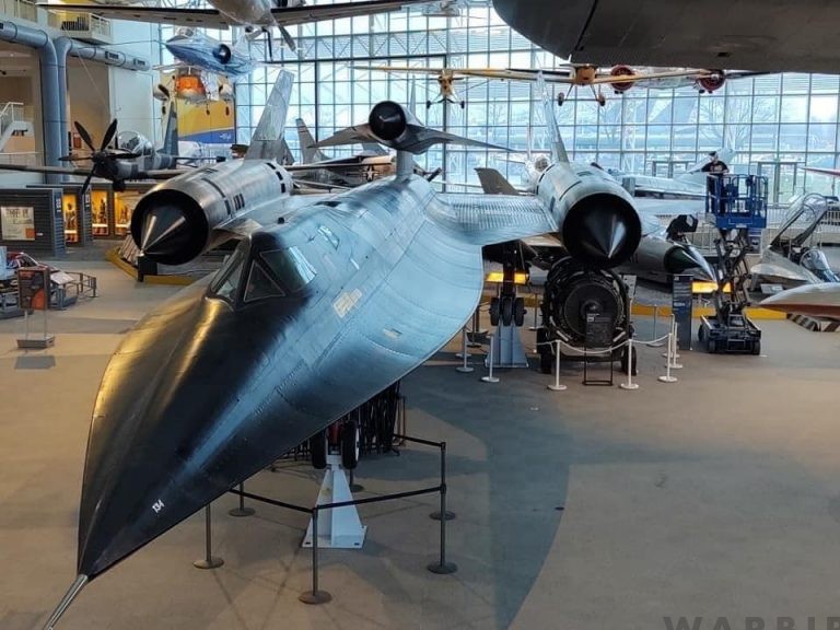 Randy's Warbird Profile - Lockheed M-21 Blackbird