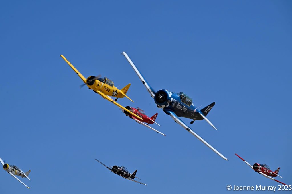 Tickets Now Available for 2026 National Championship Air Races in ...