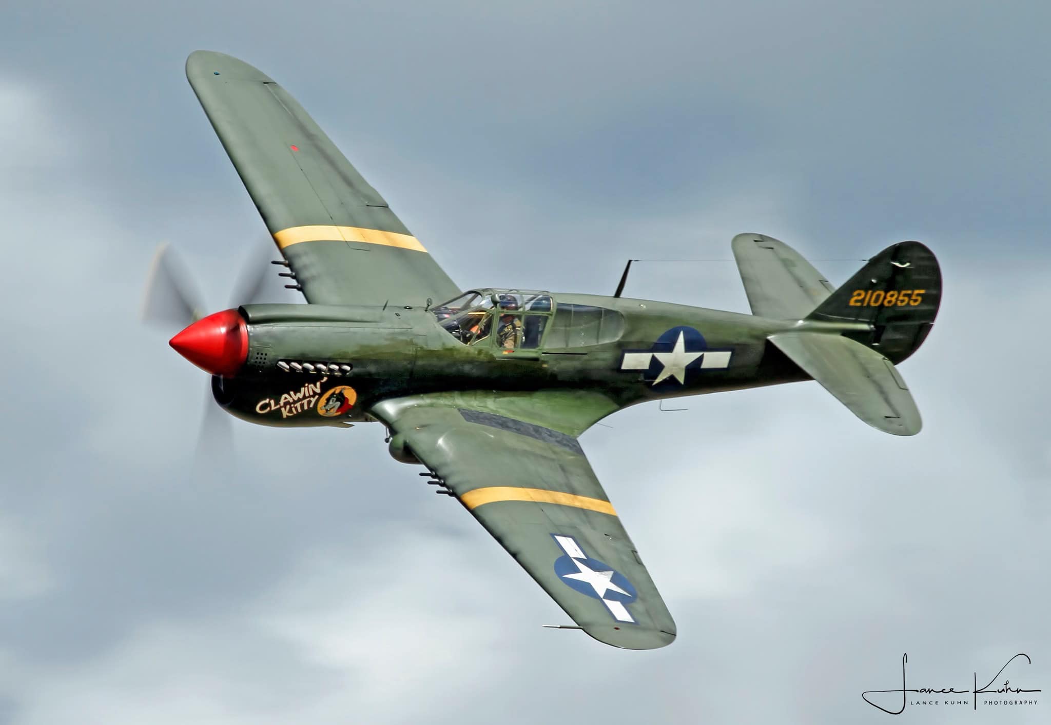 Randy's Warbird Profiles: Curtiss P-40M-10-CU Kittyhawk "Lulu Belle ...