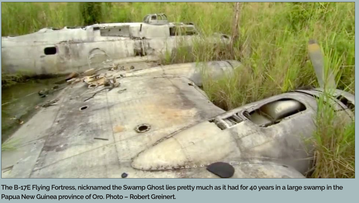 The Swamp Ghost and the Fight to Protect Pacific War Wrecks - Vintage ...