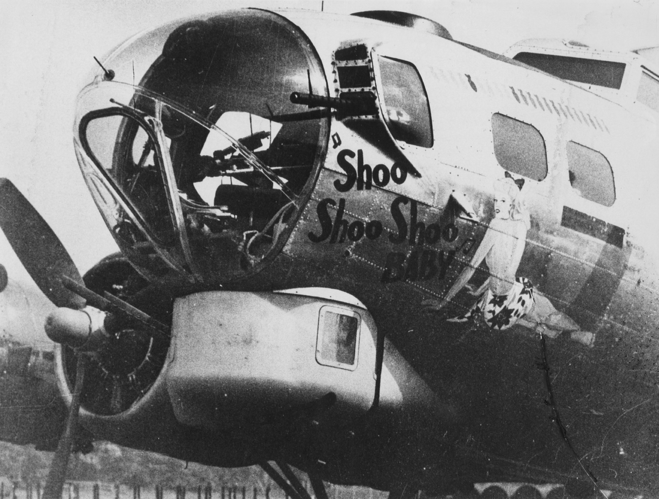 Shoo Shoo Baby: The Remarkable Odyssey of Survival for a Combat Veteran B-17
