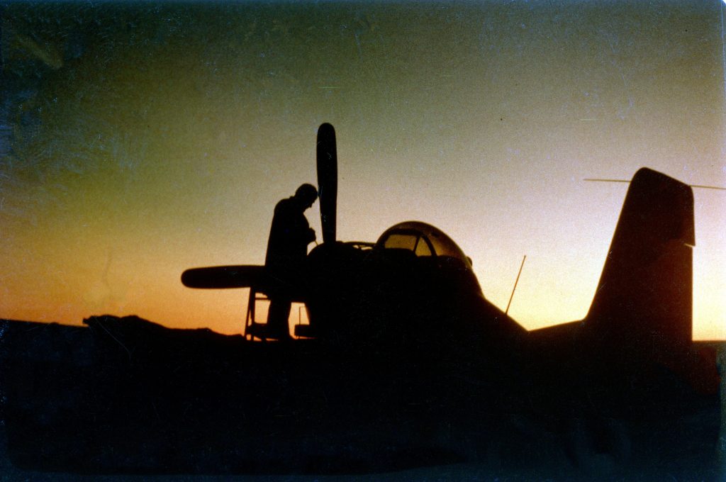 Mr. Mustang, The Most Comprehensive Book Containing The Histories of ...